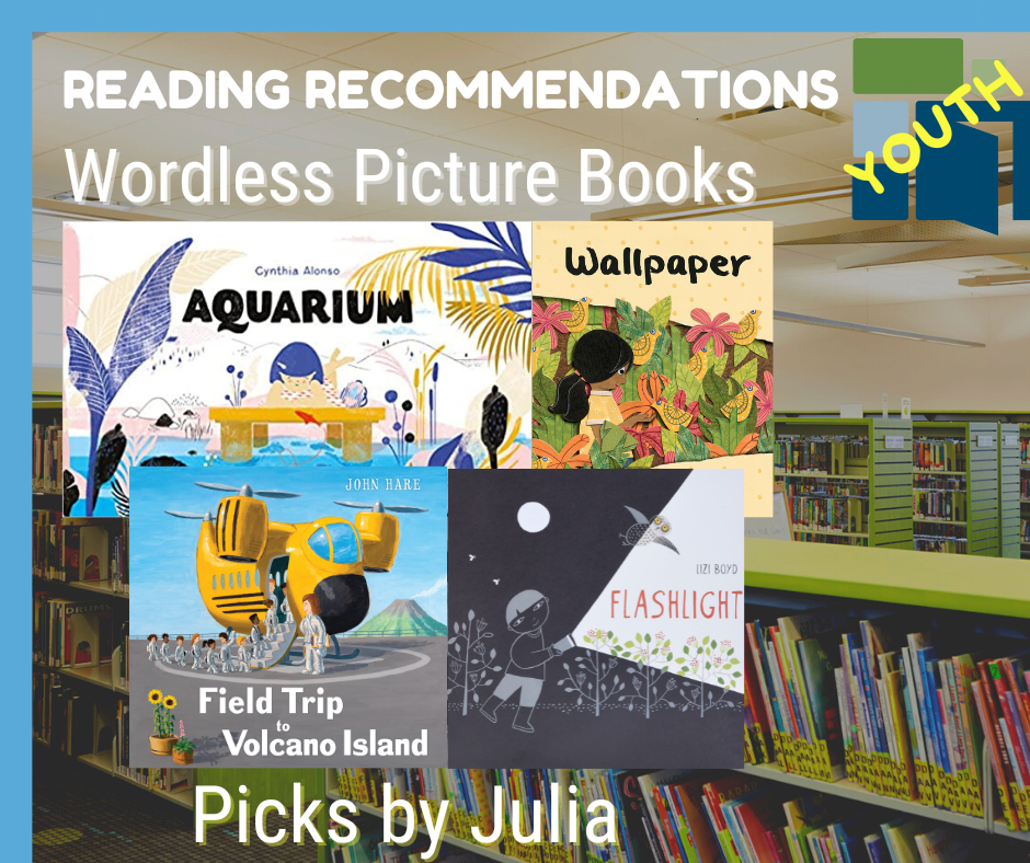 Wordless Picture Books | Ferndale Area District Library